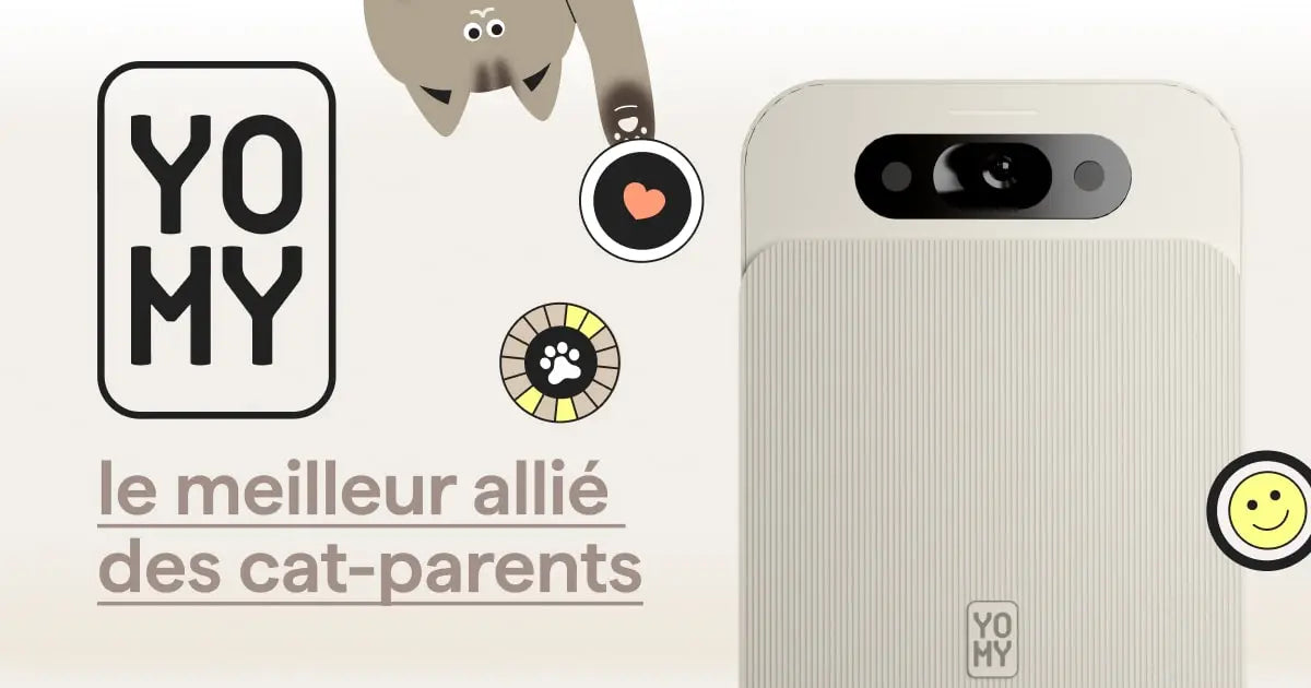 Yomy : la pâtée aussi facile que les croquettes – yomy.care