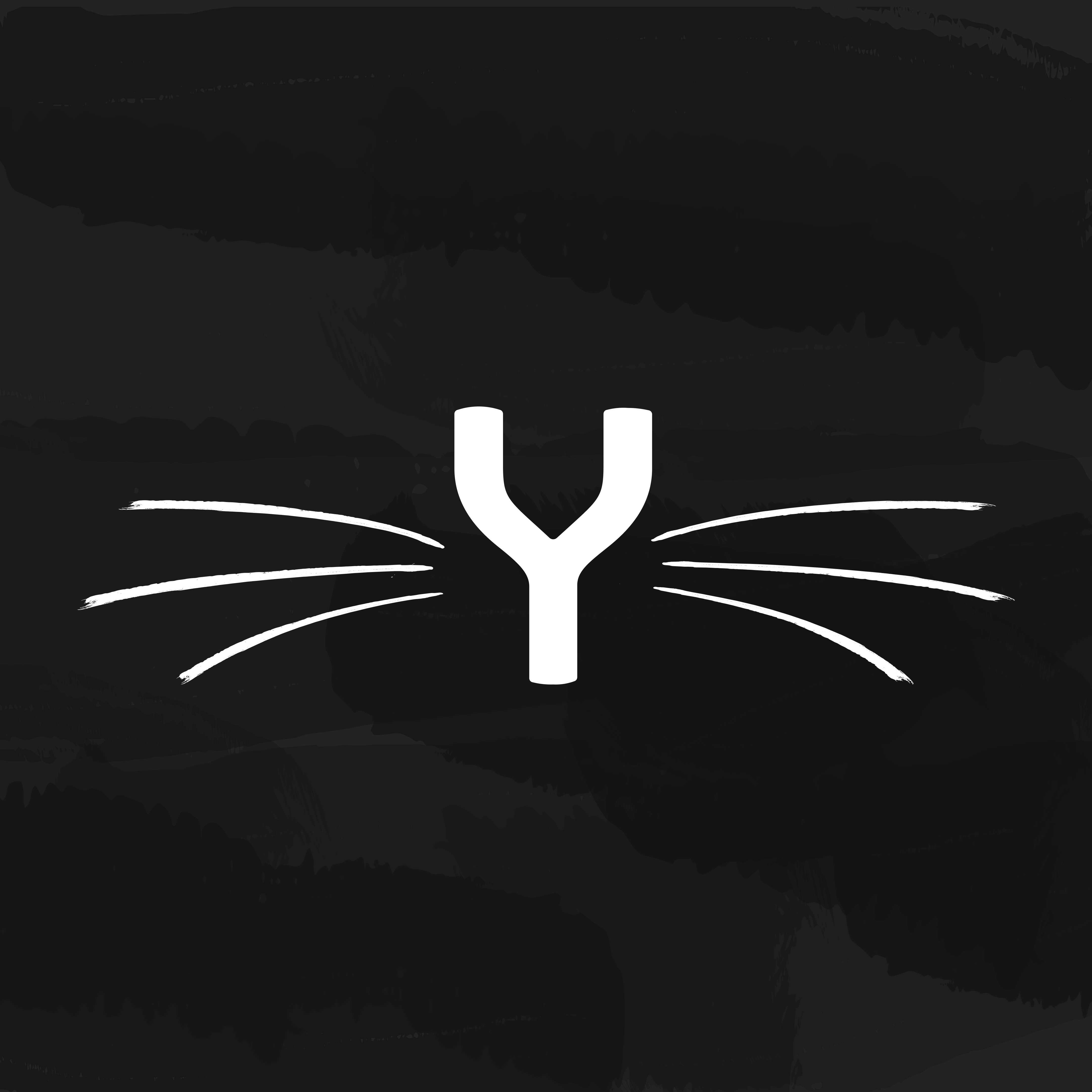 Yomy : la pâtée aussi facile que les croquettes – yomy.care